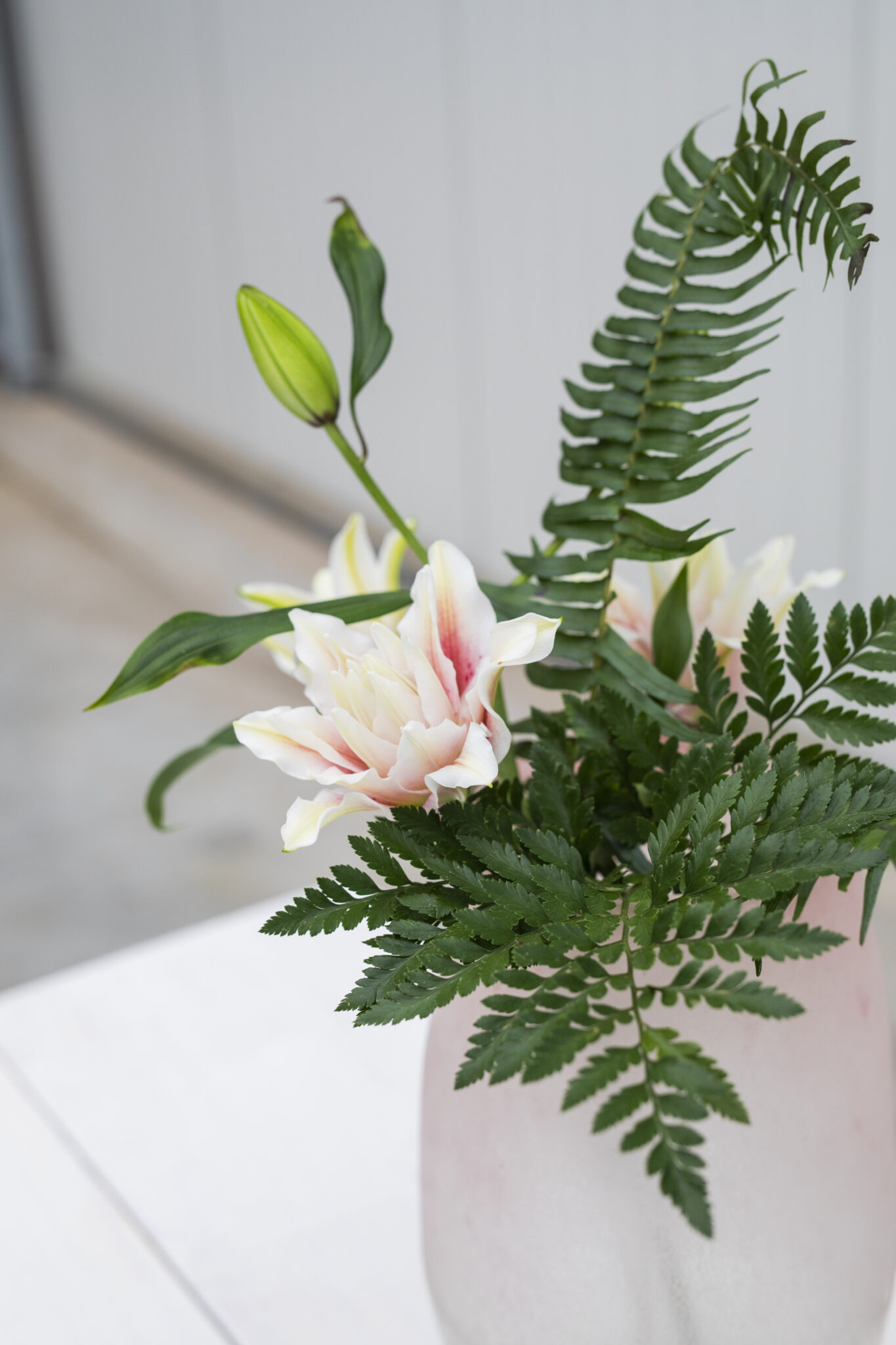 Ledervaren | Sterk, leerachtig en groen blad - Adomex International B.V.