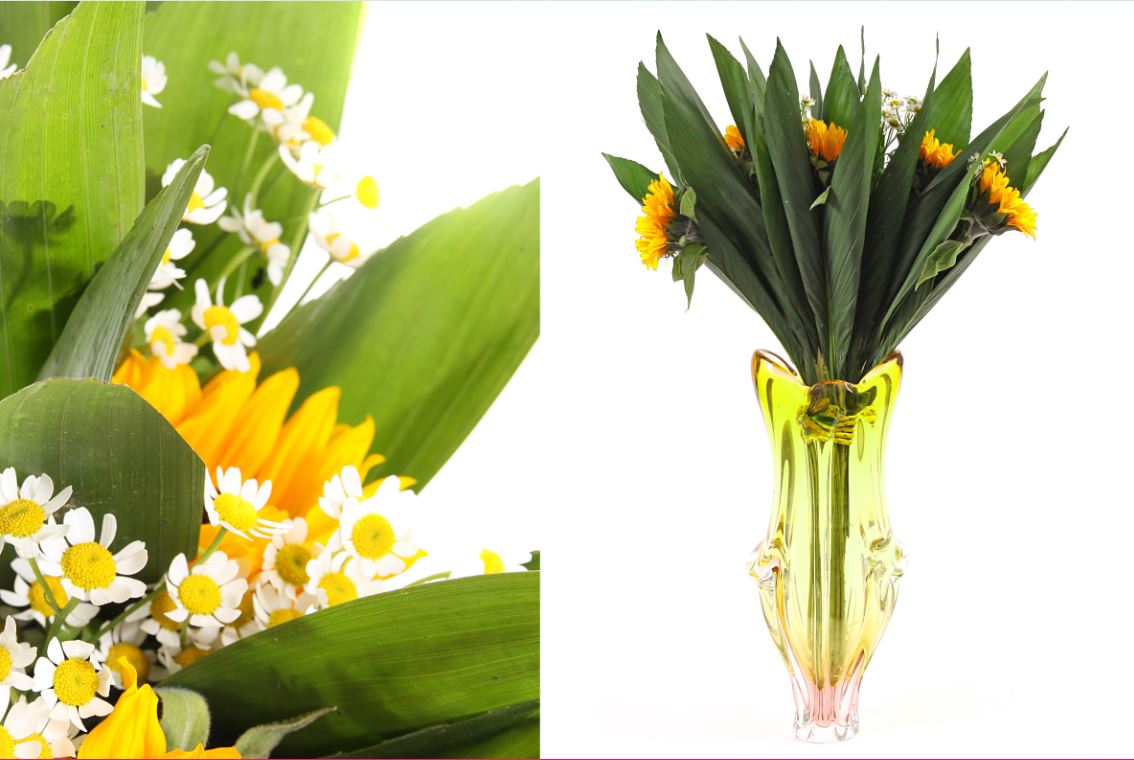 Cocos | Snijgroen groothandel - Adomex International B.V.