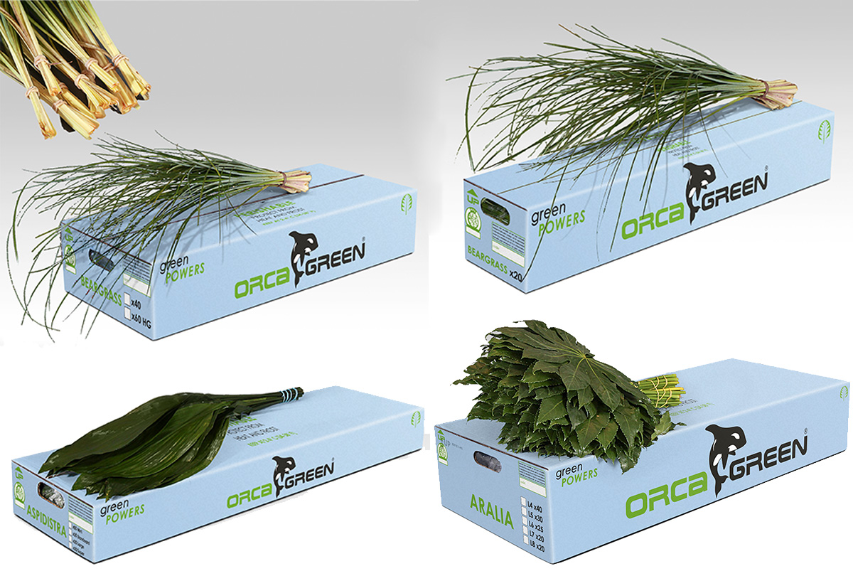 OrcaGreen | A widely recognized brand - Adomex International B.V.