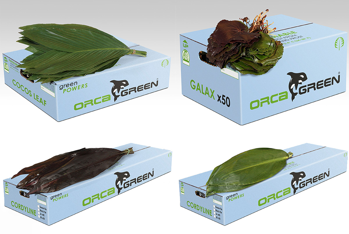 OrcaGreen | A widely recognized brand - Adomex International B.V.