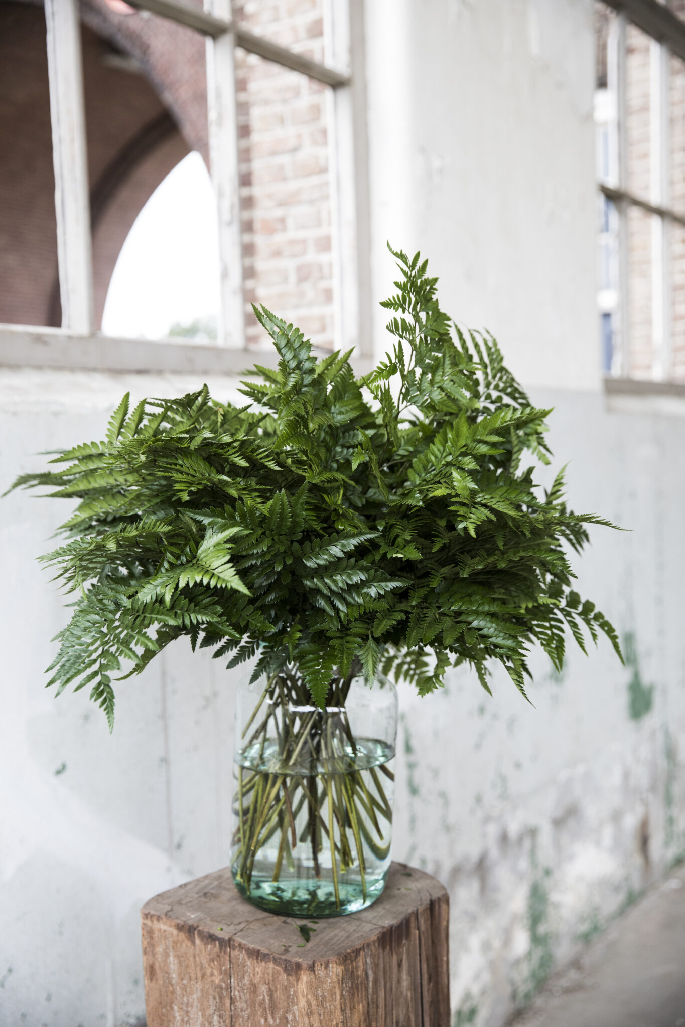 OrcaGreen | Een bekend snijgroen merk - Adomex International B.V.